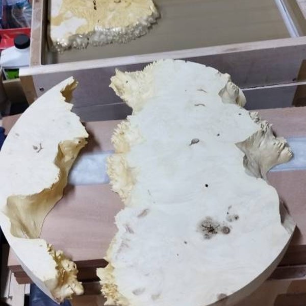 Maple Burl Wood. Big Leaf Maple Burl Resin Slab. Live Edge Wood. Burl ...