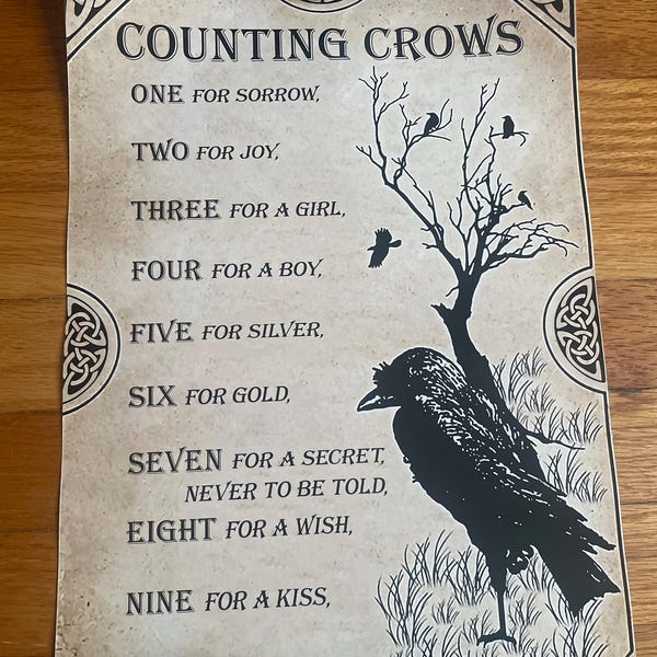 Counting Crows Poster Home Decor Wall Decor - Etsy