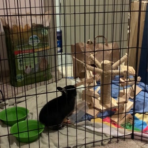 Tree Rabbit Toy natural - Etsy