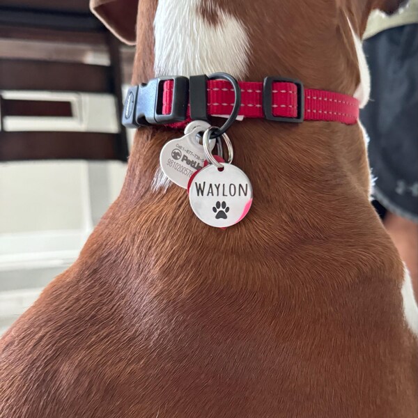 Custom Dog Tag Personalized Dog Name Tag ID Cat Collar Tag Customized ...