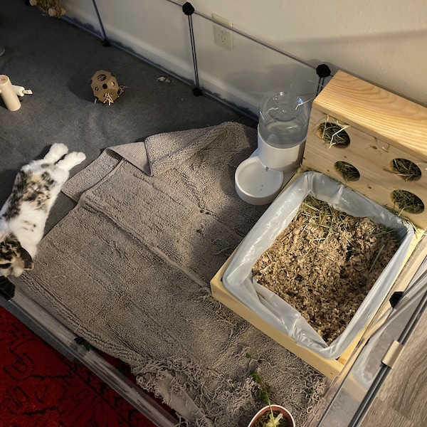 Rabbit Hay Feeder With Litter Box, Litter Pan & Hay Feeding Station ...