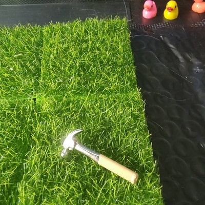 Bahamian Queen Conch Shell Light I Pink Conch Shell Night Light I SLIT ...