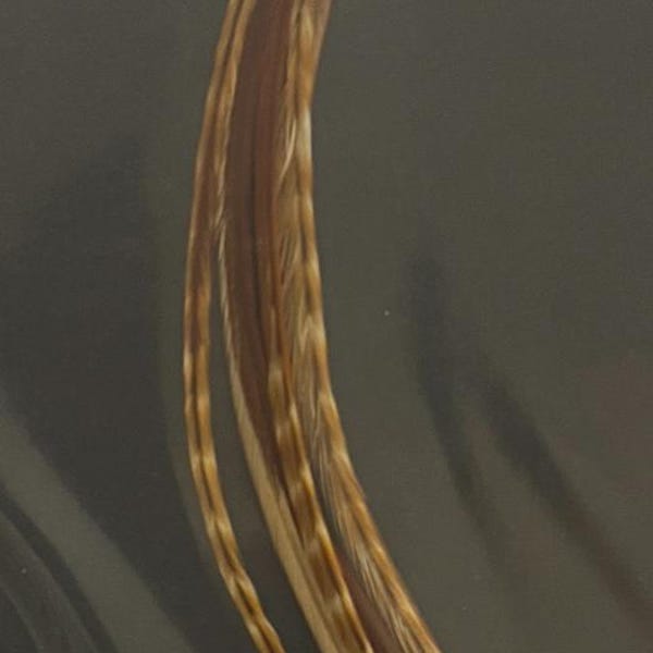 Feather Hair Extension Kit, 6 Real Feathers, Pick Your Length Short to ...