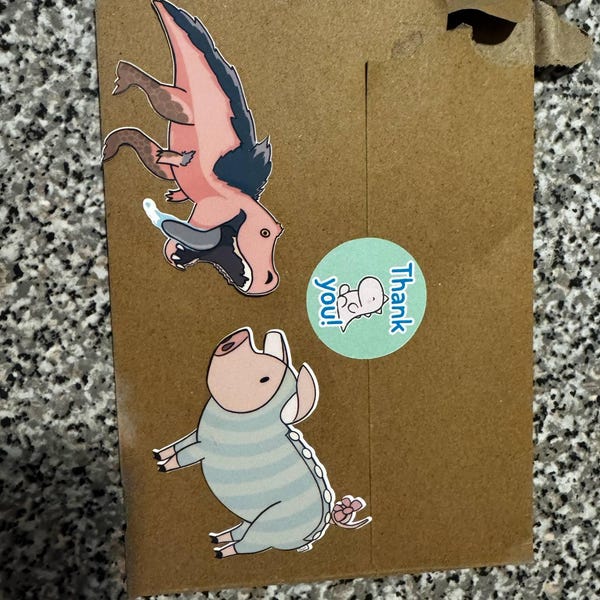 VALORANT Raze Cat Spray Waterproof Holographic Vinyl Sticker - Etsy