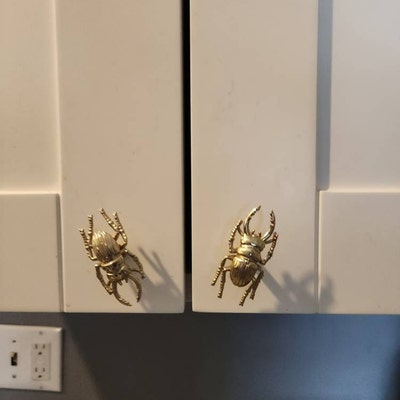 Brass Beetle Drawer Pulls Knobs, Insect Cupboard Door Handles, Bug ...