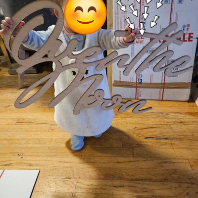 Born to Be WILD, Happy Birthday Sign, Happy Birthday Banner, Door ...