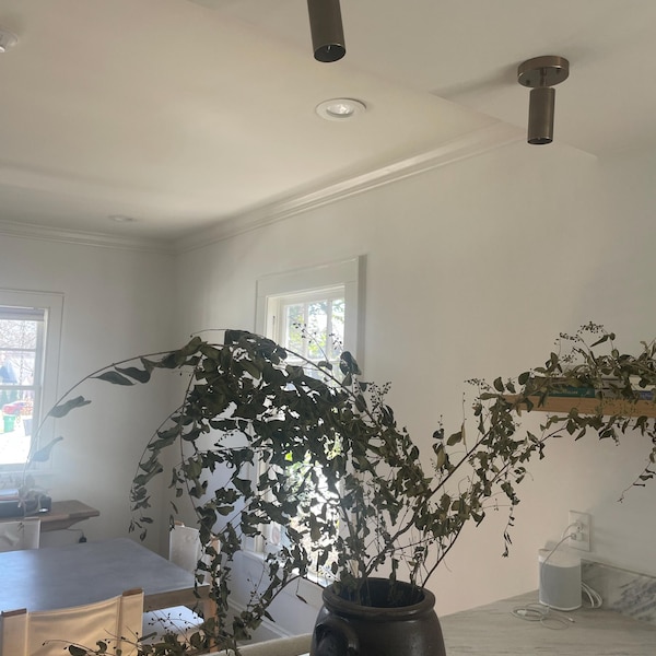 1 Light Globe Spikes Elegant Ceiling Light | Flushmount Light ! Pendant ...