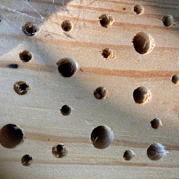 Handmade Wooden Bee House / Bug House / Bee Hive / Bee Cottage ...