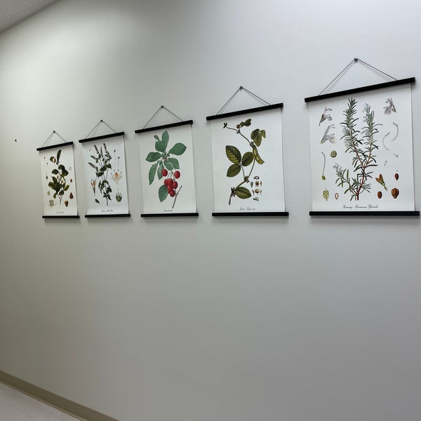 Tea Botanical Print, Tea Botanical Art Print, Tea Wall Art, Tea Decor ...