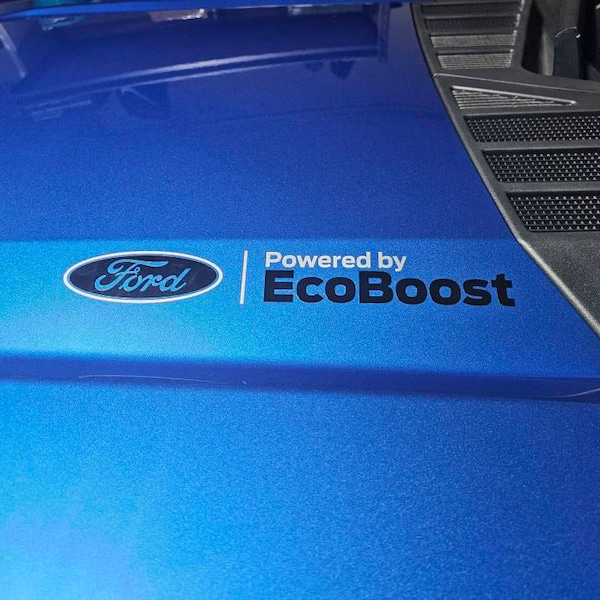 2021-2022 Ford F150 Powered by Ecoboost Hood Vinyl Sticker Graphic Set ...