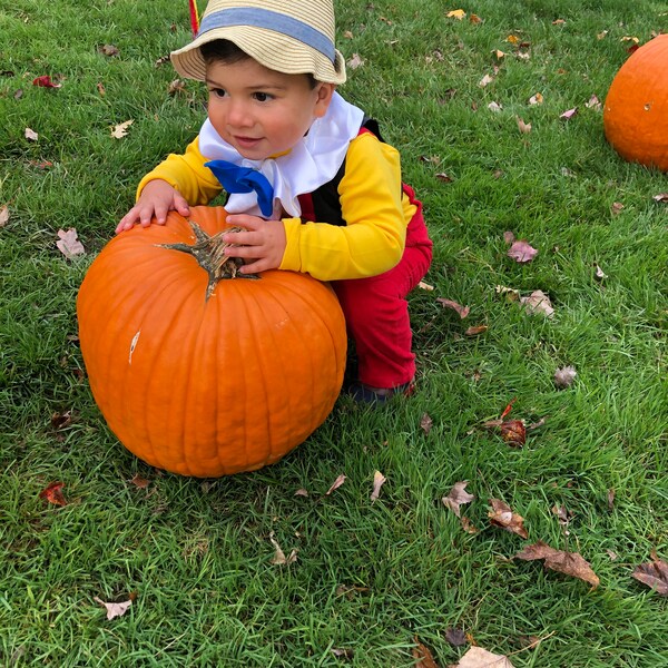 Child - Puppet Boy Costume - Hat, Vest, Shorts, Collar - Handmade - Etsy