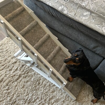 Pet Ramp With Foldable Rails Extra Front Rail - Etsy