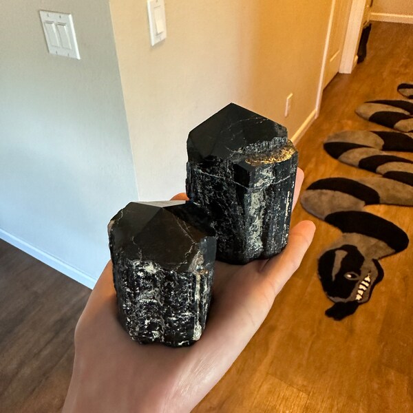 Elestial Smoky Crocodile Quartz Crystal Natural Smoky Alligator ...