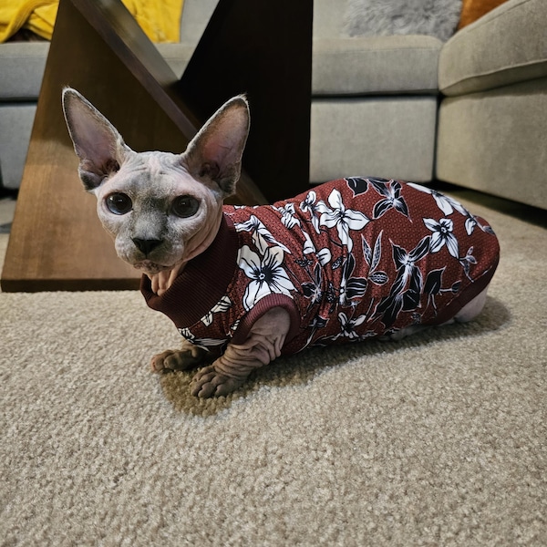 Sphynx Cat Clothes, Bambino Sphynx Clothes, Sphynx Cat Sweater, Sphynx ...
