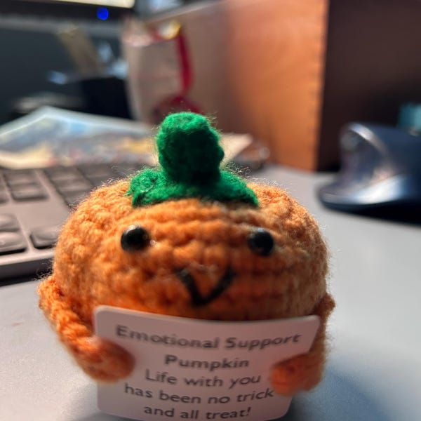 Adorable Handmade Crochet Pumpkin,emotional Support Pumpkin,positive ...