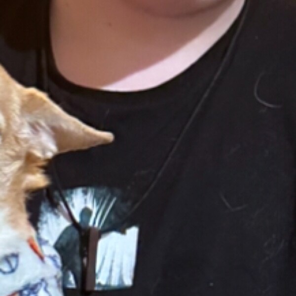 Antique 1890's AO Victorian Era NICKEL & GOLD Wire Rim Eyeglasses ...