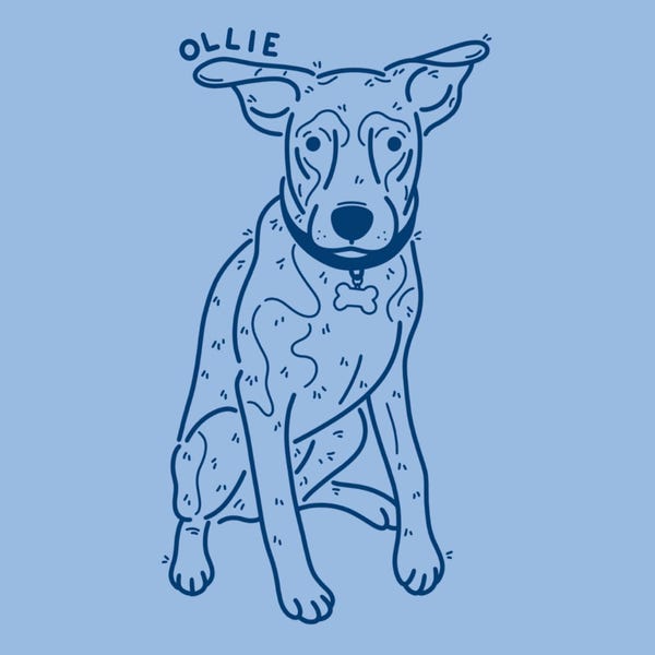 Custom Dog Portrait, Badly Drawn Dog, Pet Portrait, Pet Commission ...