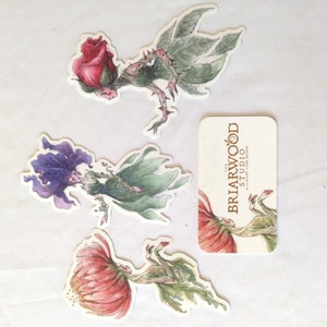 Set of 3 Flower Fae Art Prints Fairy Art Illustration - Etsy