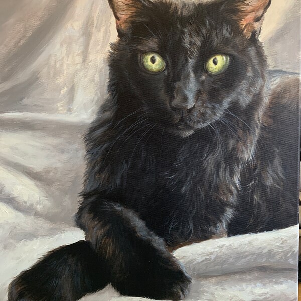 Pet Portrait Custom Cat Portrait Drawing - Carbon Pencil on Ingres ...