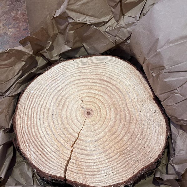 Real Wood Log Vases Wooden Vases for Flowers, Wedding Vases, Rustic ...