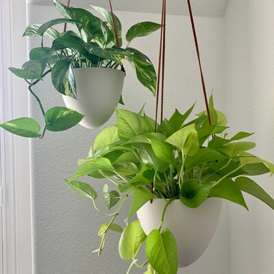 Large Hanging Bullet Planter, Ceramic Porcelain Hanging Planter, White ...