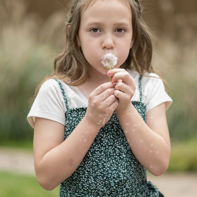 Dust Cloud Overlays, Dust Plume Overlays, Dust Overlay, Smoke Overlays ...