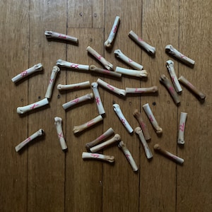 35 Coyote Femur Leg Bones for Crafts or Resale 792 - Etsy