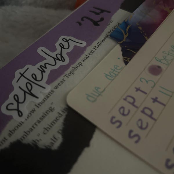 Appointment Script Stickers Removable White Matte or Clear Matte Stickers Hobonichi Cousin ...