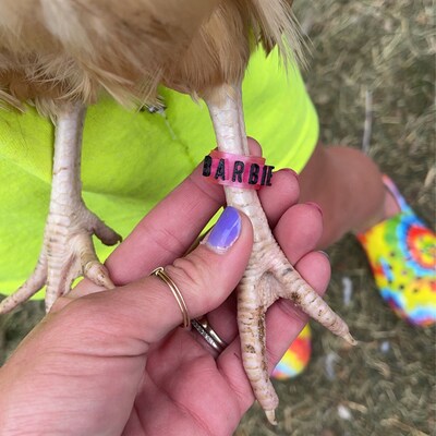 Personalized Chicken or Bird Leg Band, Name Band - Etsy