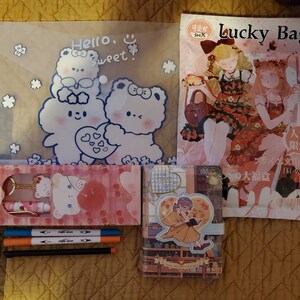 Cute Pink Peach File Folder 13 Pocket Folder Decorative - Etsy