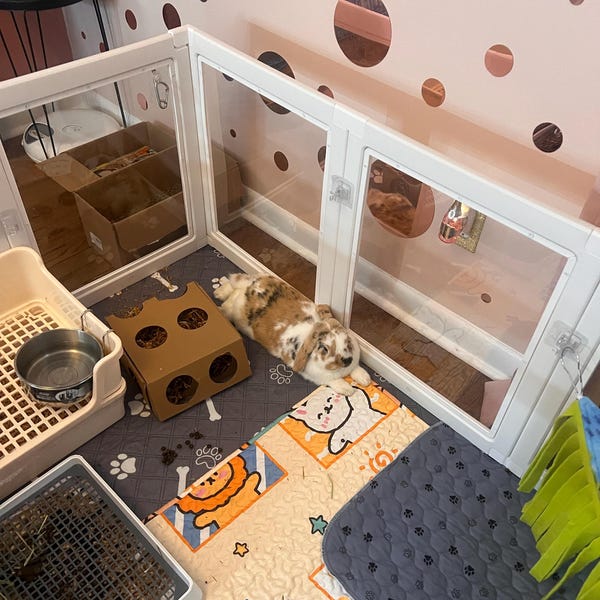 Kids Bunny Chore Chart - Easy Rabbit Care Organization for Kids, Adults ...