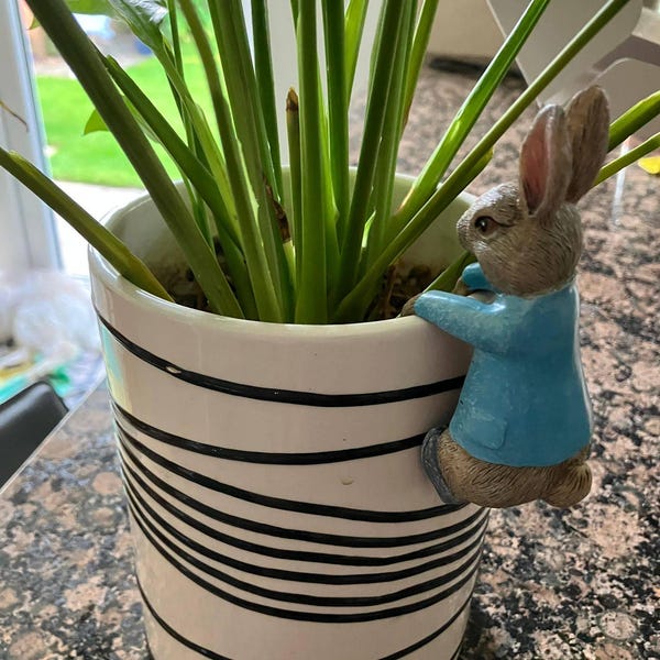 Peter Rabbit Pot Buddy - Beatrix Potter Peter Rabbit Pot Hanger - Gift ...