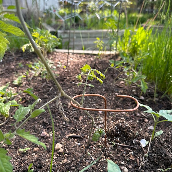 Minimalist Cone Plant Support, Recycled Copper Plant Trellis, Funnel ...