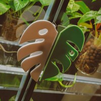 Plant Trellis Cebu Blue Pothos Plant Art Plant Decor - Etsy Canada