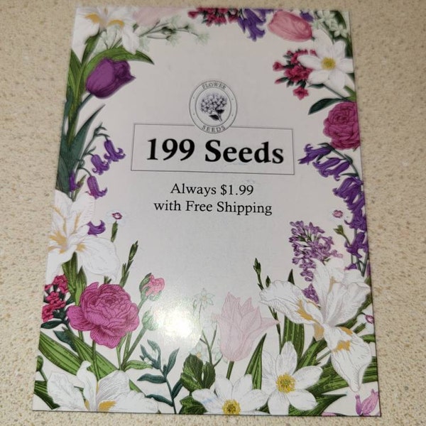 Double Dutch Rose Cosmos Flower Seeds - Etsy