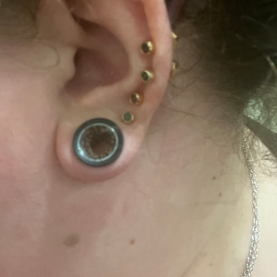 Narra Wood Fake Gauge Pincher for Pierced Ears FREE - Etsy UK