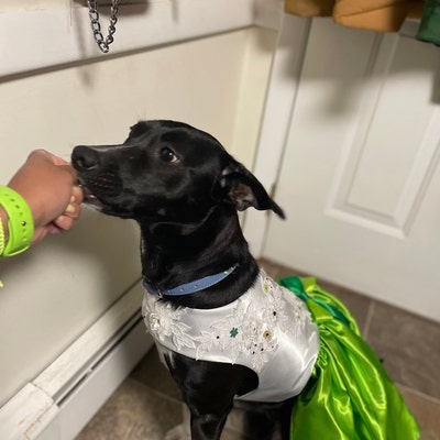 Star Spangled Girl Dog Harness Dress Xxsmall to 4xlarge Dog - Etsy