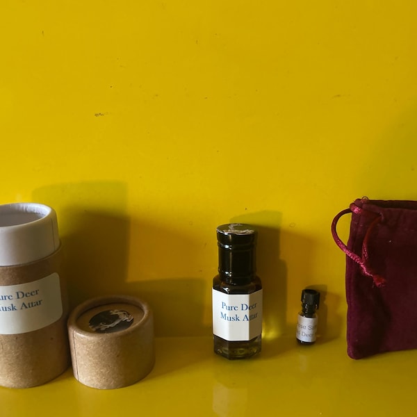 Onycha-operculum Hard Operculum Shells, Sea Shells, Devils Nails ...