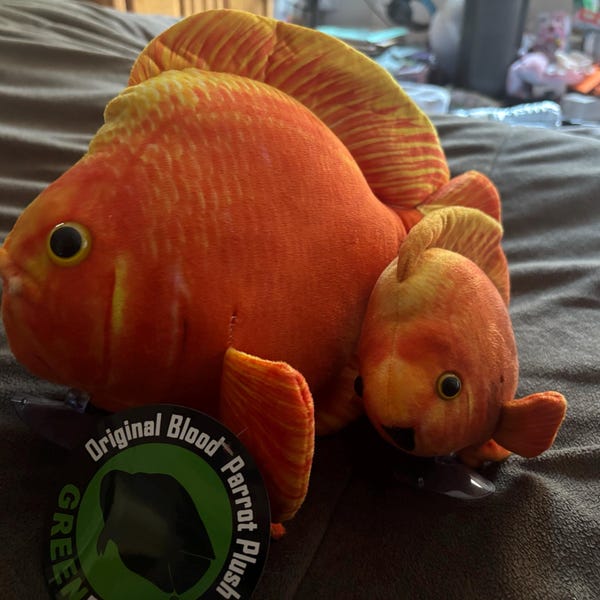 Goldfish Plush (12 Inch) - Etsy