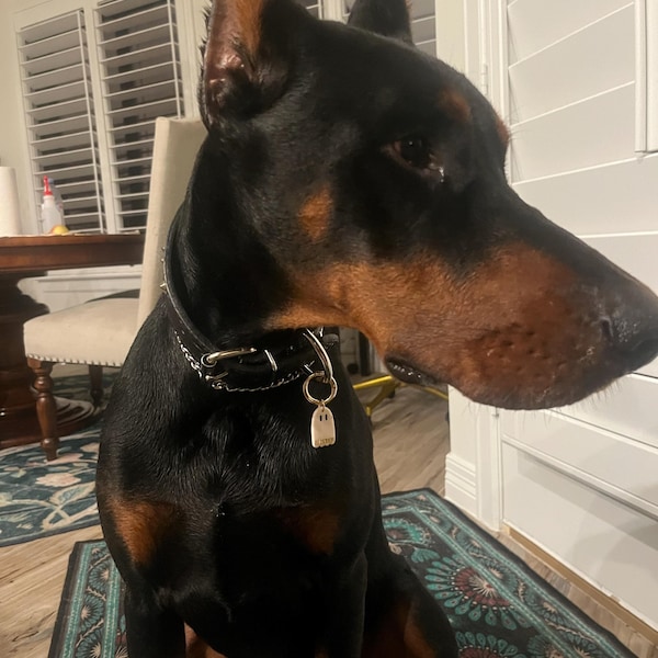 Checkered Pet Tag, Green and White Dog Tag, Custom Pet Tag, Clay Tag ...