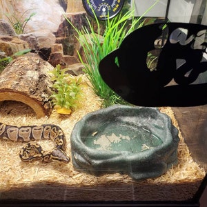 Customizable Name Ball Python Snake Vinyl Decal READ - Etsy