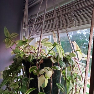 Mine for a Moment // Printable Art // Foster Care Poem // A | Etsy