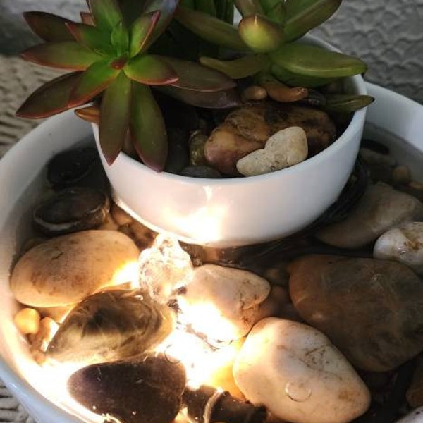 Fountain Tranquility Tabletop Natural Water Garden Fountain With LIVE ...