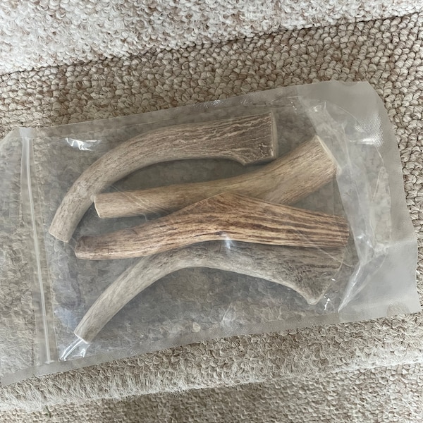 Bulk Axis Deer Antler Pieces for Knife Skin Handles and Aggressive Dog ...