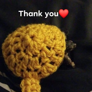 Tortoise Sweaters, Pet Costume, Turtle Sweater, Cute Animals, Tortoise ...