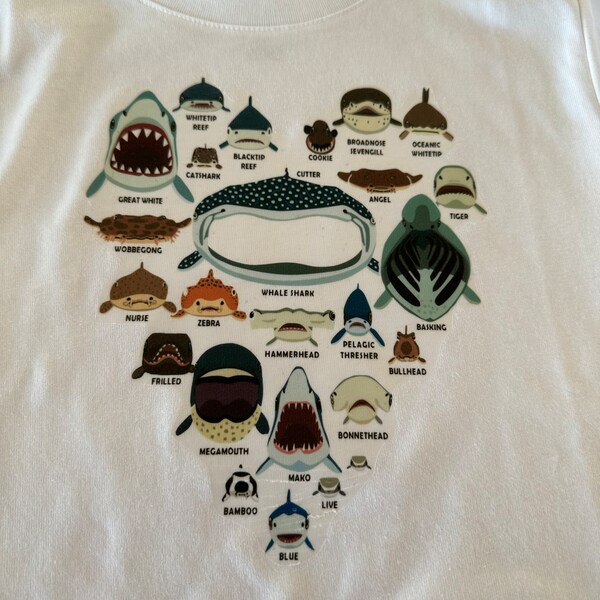 Shark Heart PNG, Shark Png, Types of Sharks Png, Oean Animals Png ...