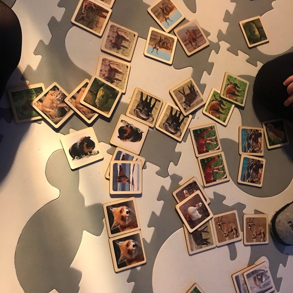 Montessori and Waldorf Learning Sea Life Animals Sustainable Match Toys ...