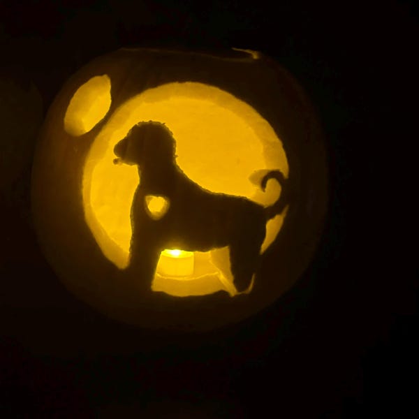 Cowboy Pumpkin Stencil, Cowgirl Printable Stencil, Horse Pumpkin ...