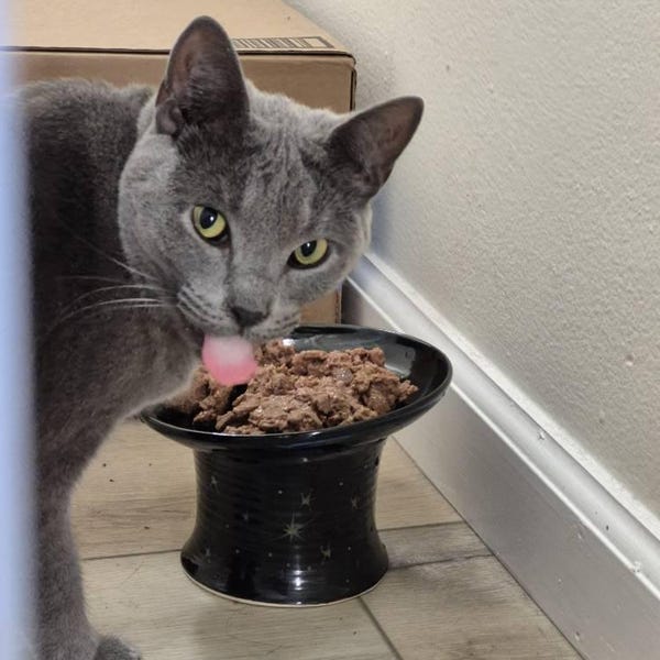 Ceramic Cat Bowl: Galaxy Whisker Fatigue Relief, Tilted Low Wall ...