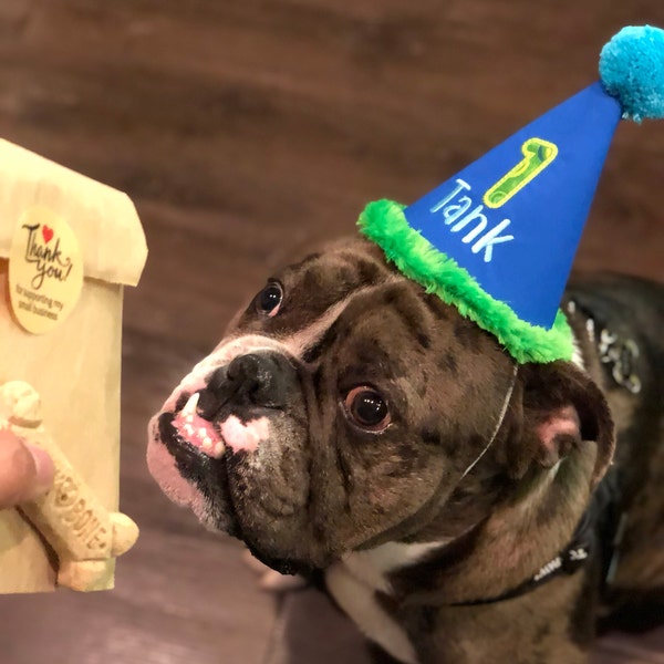Dog Birthday Hat With Personalized Name and Birthday Year - Embroidered ...